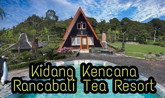 5 Villa di Ciwidey dengan Private Pool Mewah Terbaik